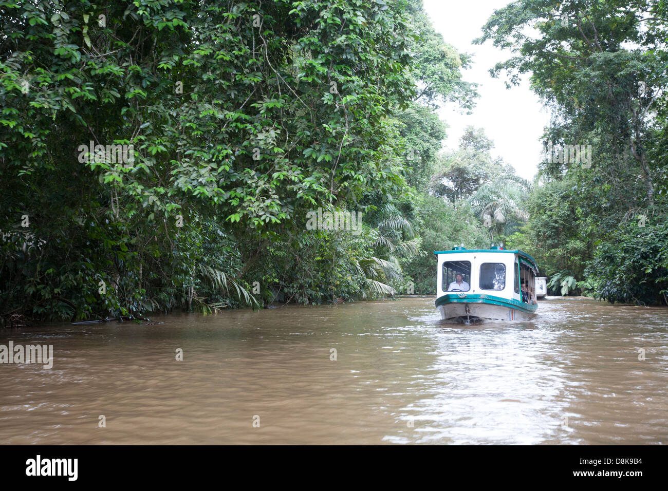 By Lancha and Boat along the Tortuguero Canal, Tortuguero National Park ...