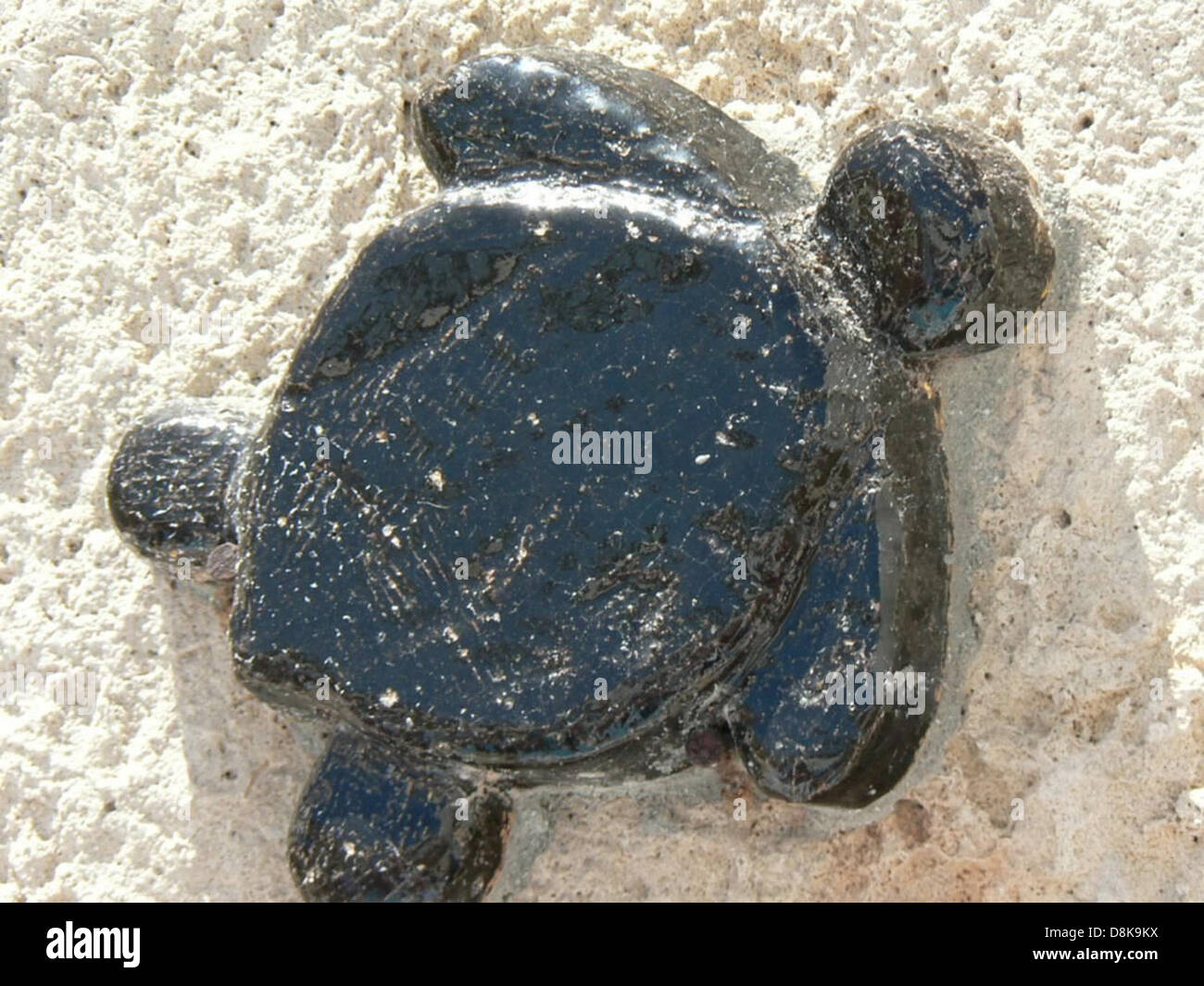 A decorative turtle wall hanging or sculpture, adding a nature-inspired ...