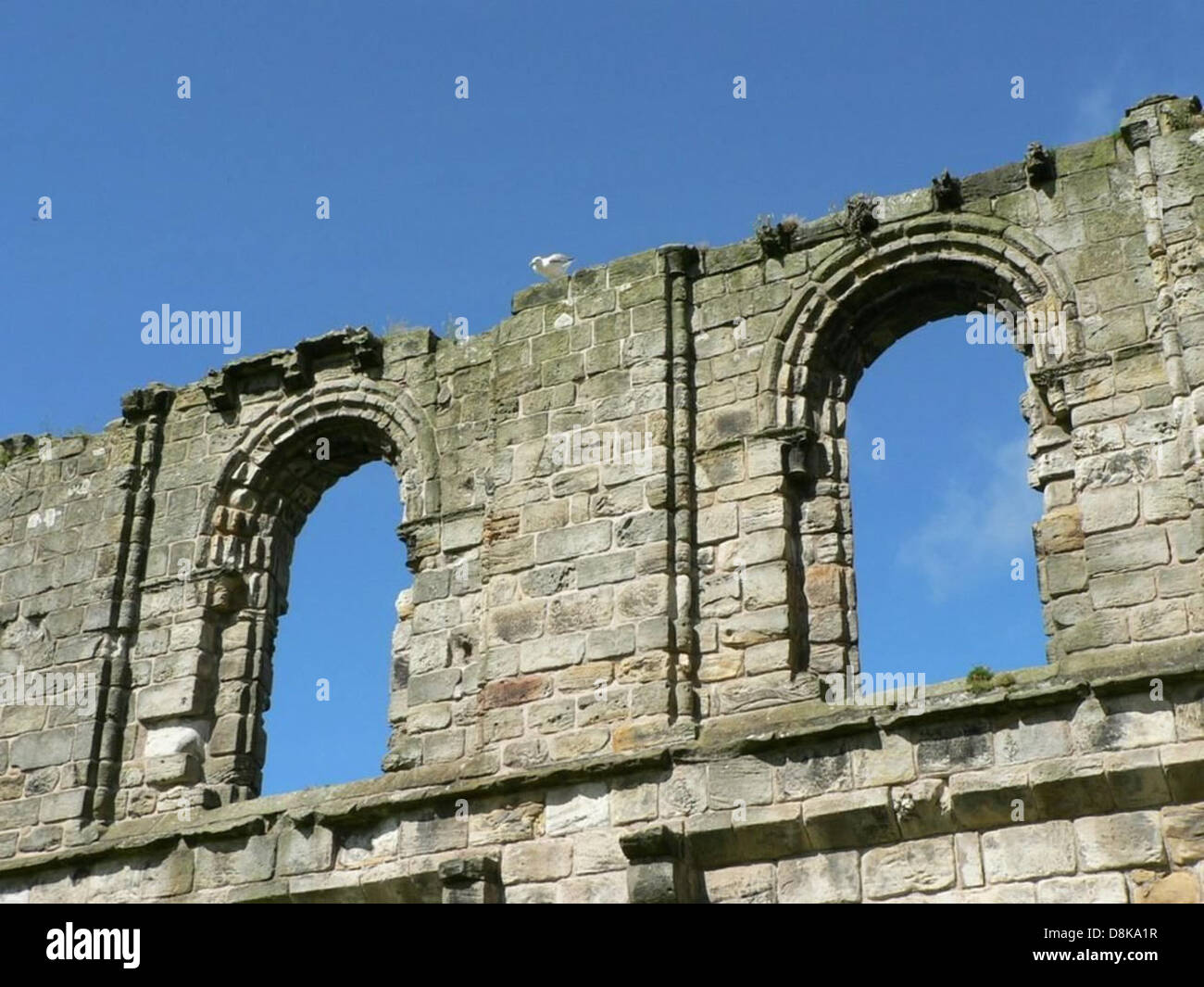 Two old windows of cathedral of St Andrew Stock Photo - Alamy
