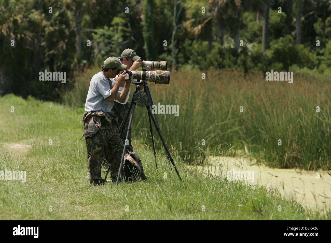 Two professional photographers are seen in the countryside, each ...
