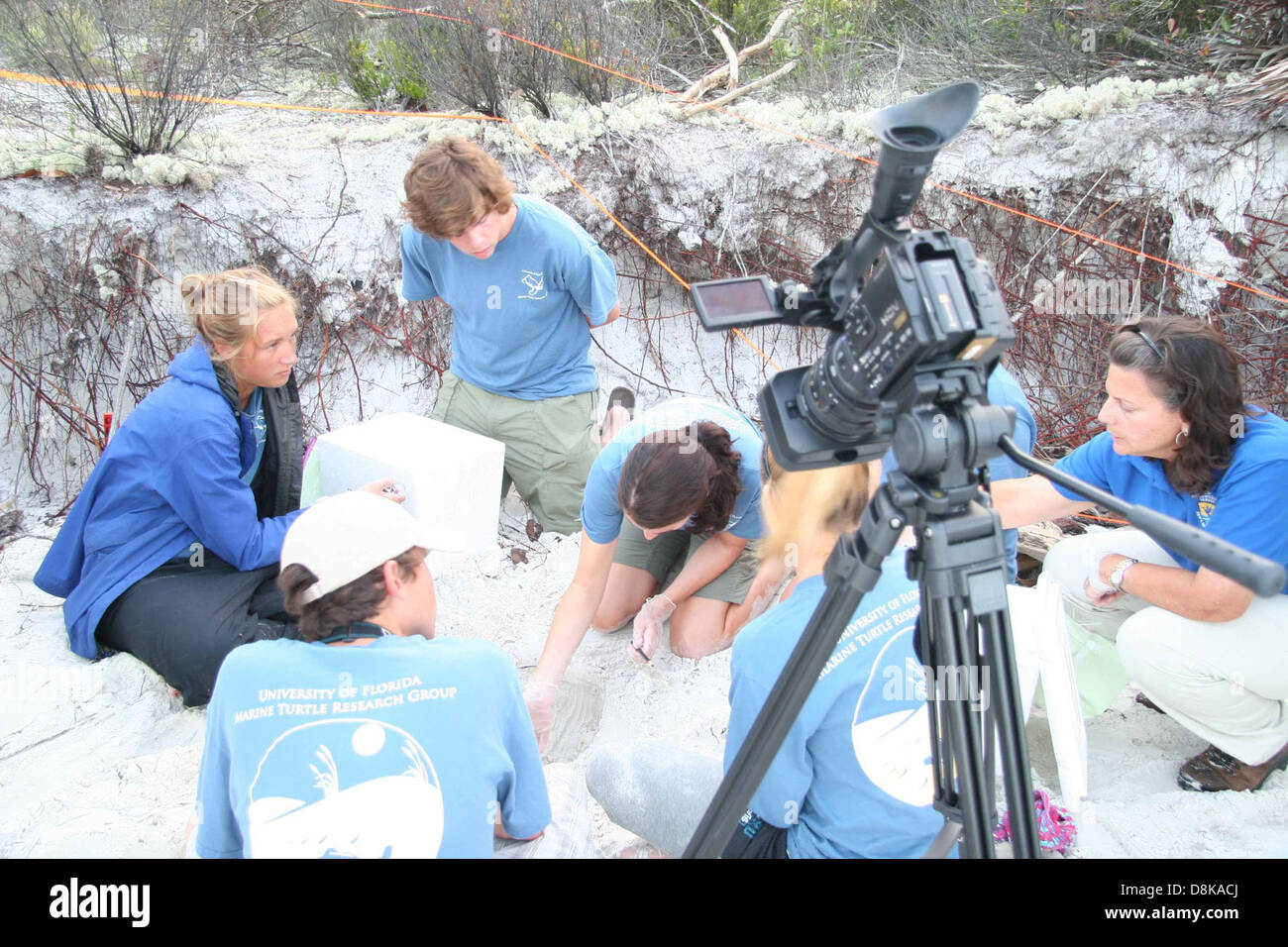 A video recording of a scientific research process, showing lab ...