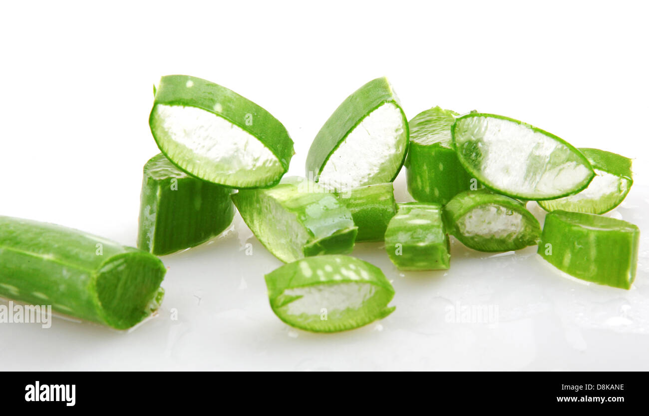 Aloe vera plant isolated on white Stock Photo - Alamy