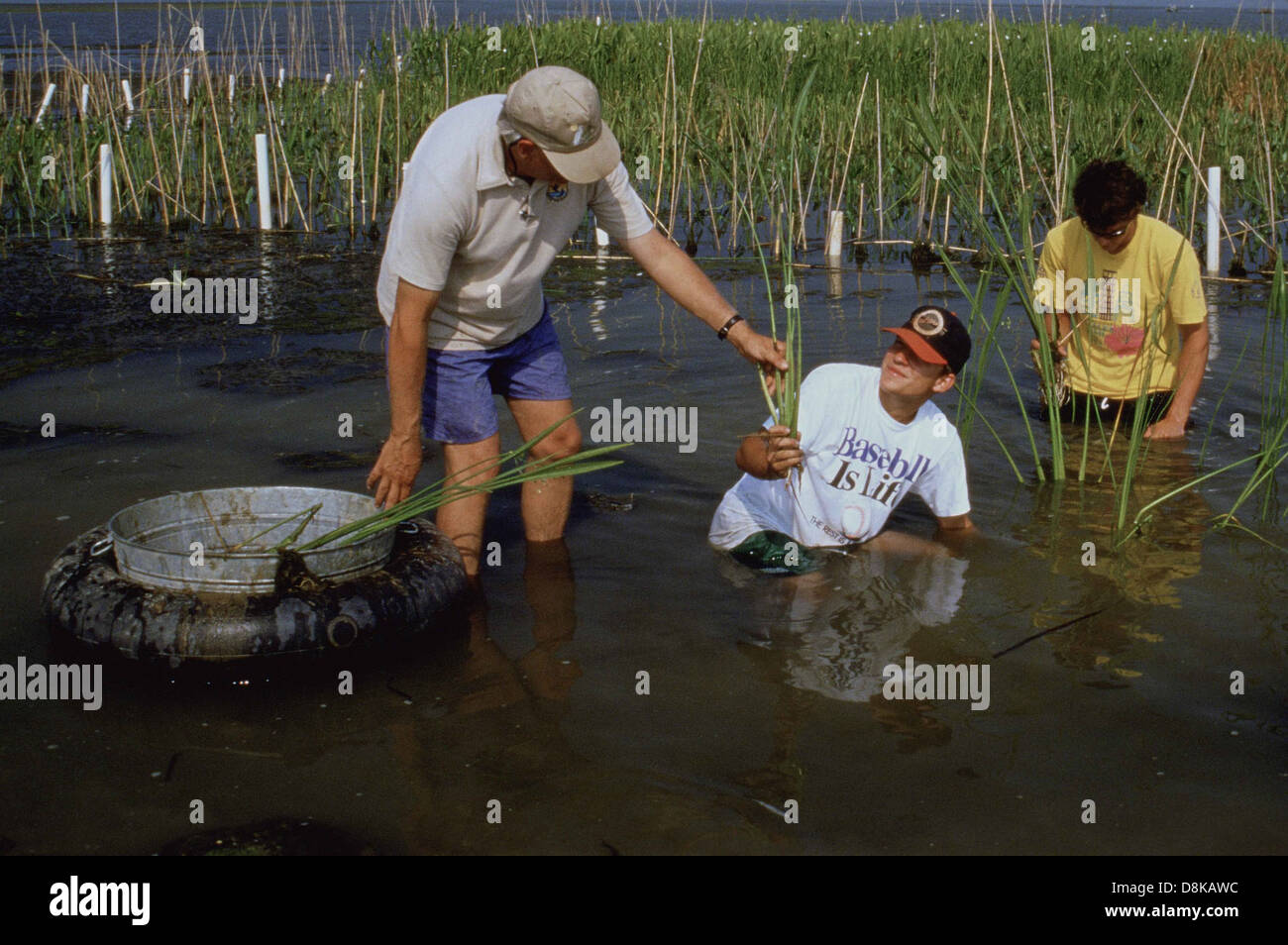 A group of volunteers collaborates on a habitat restoration project ...