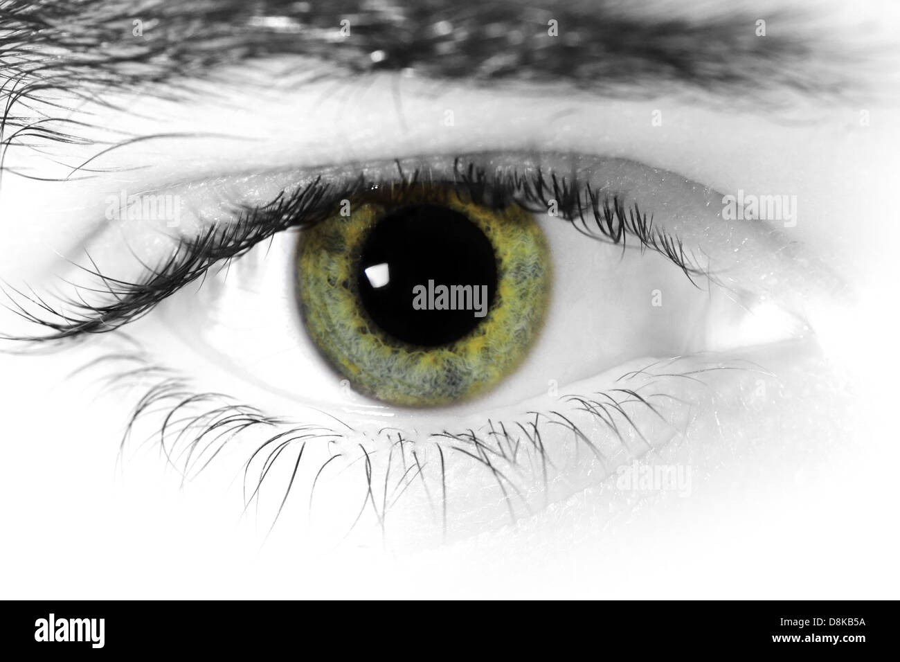 Close up of a mans eyes Stock Photo - Alamy