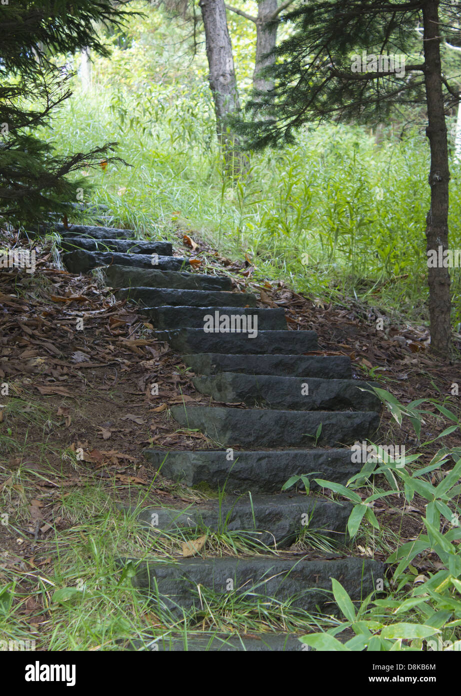Stone steps in a mountain Stock Photo - Alamy