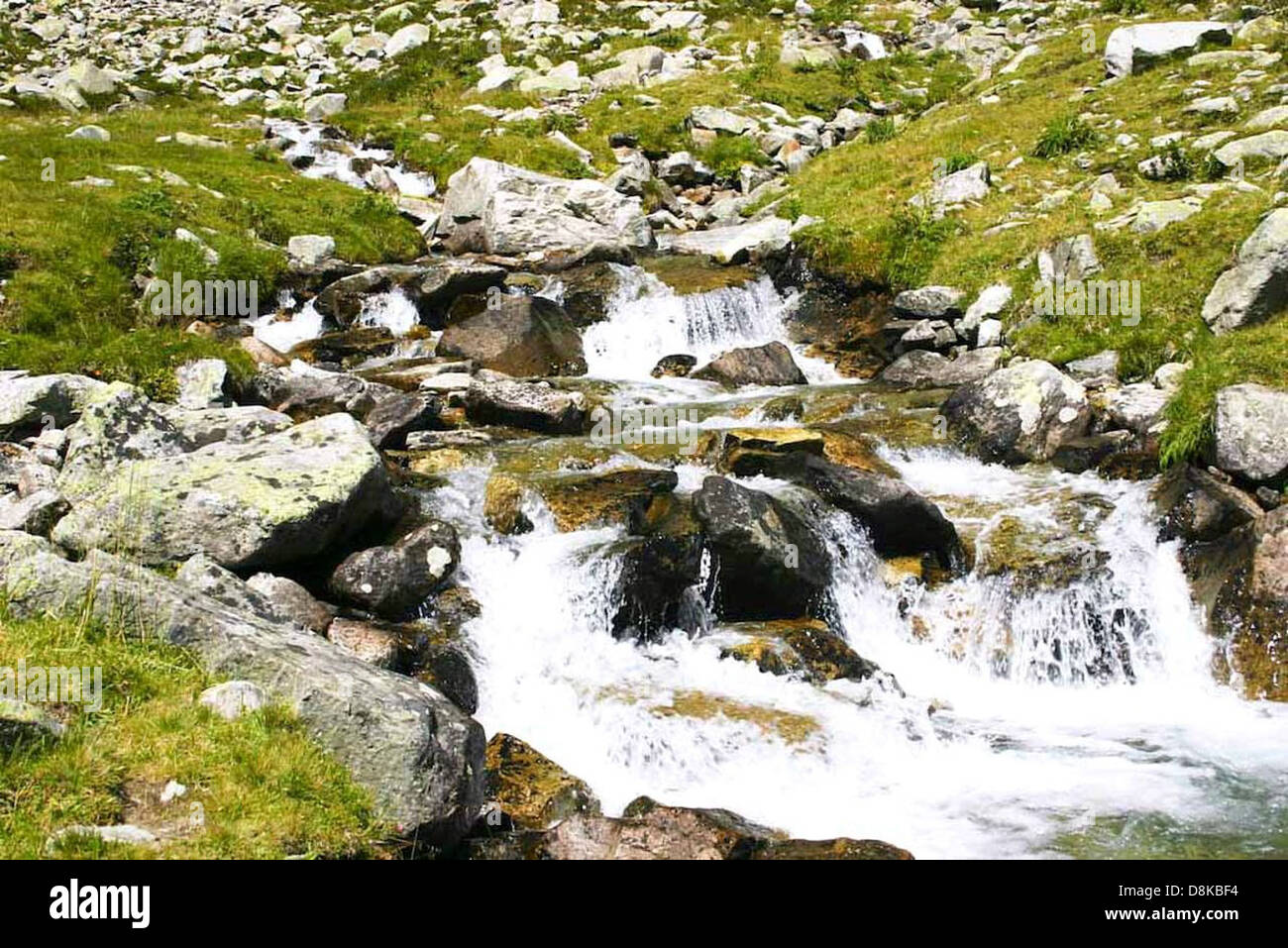 This image shows a water stream during the rainy season, with flowing ...