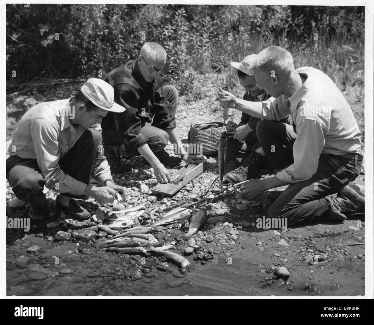 Weighing fish samples hi-res stock photography and images - Alamy