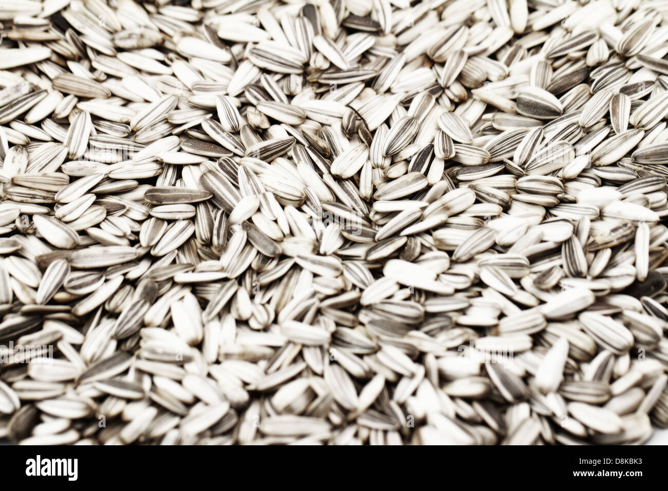 Sunflower seeds background Stock Photo - Alamy