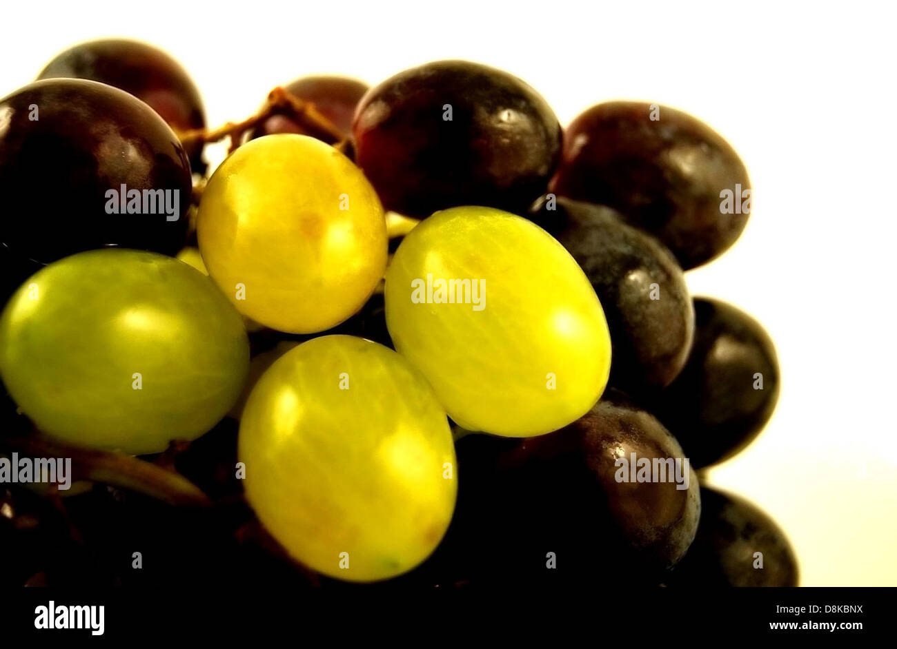 A cluster of white and red grapes, fresh and ripe, displayed against a ...
