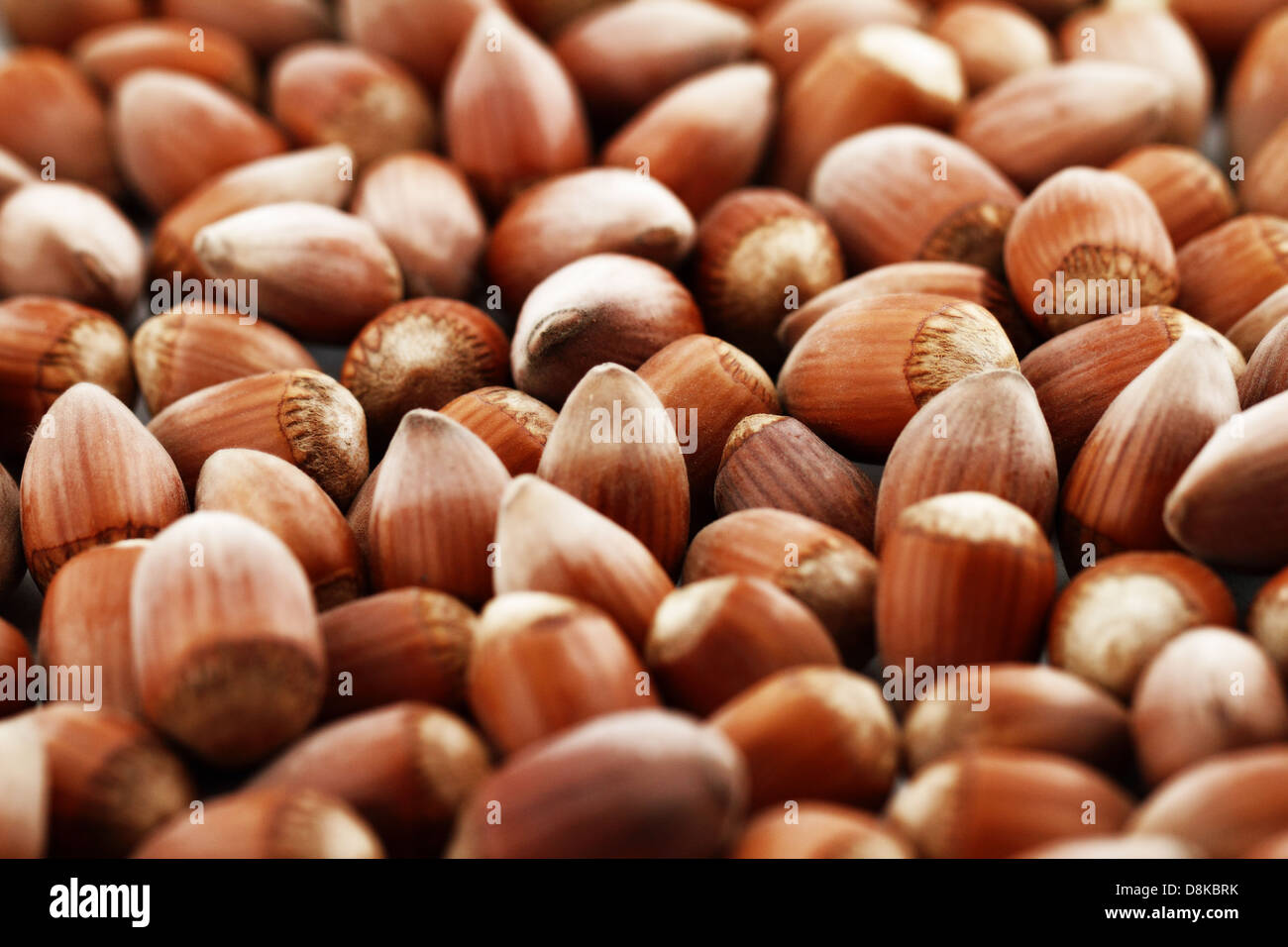 Hazelnut close up isolated (background Stock Photo - Alamy