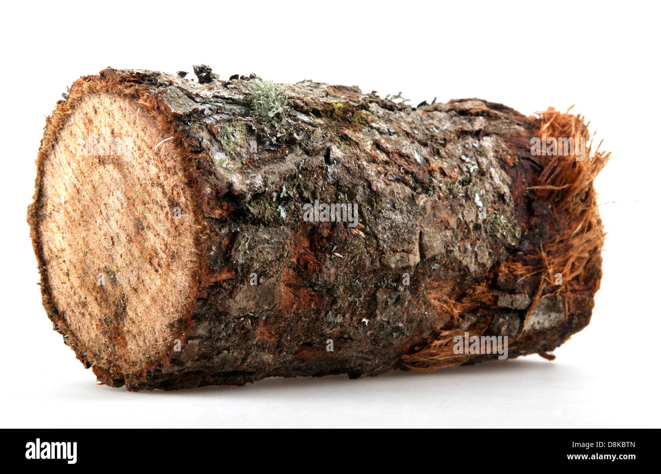 The logs of fire wood isolated on white Stock Photo - Alamy