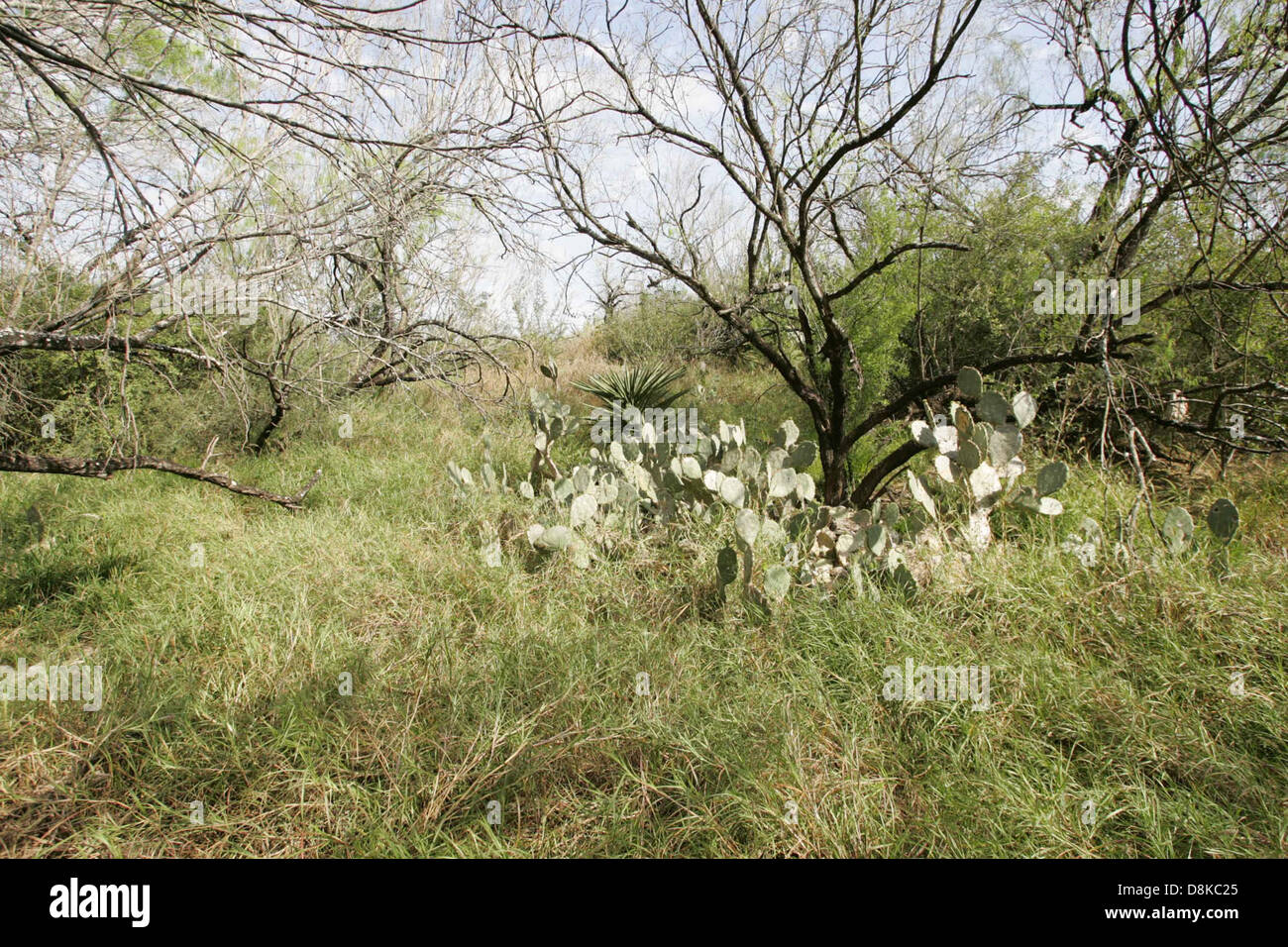 Vast expanse untamed land hi-res stock photography and images - Alamy