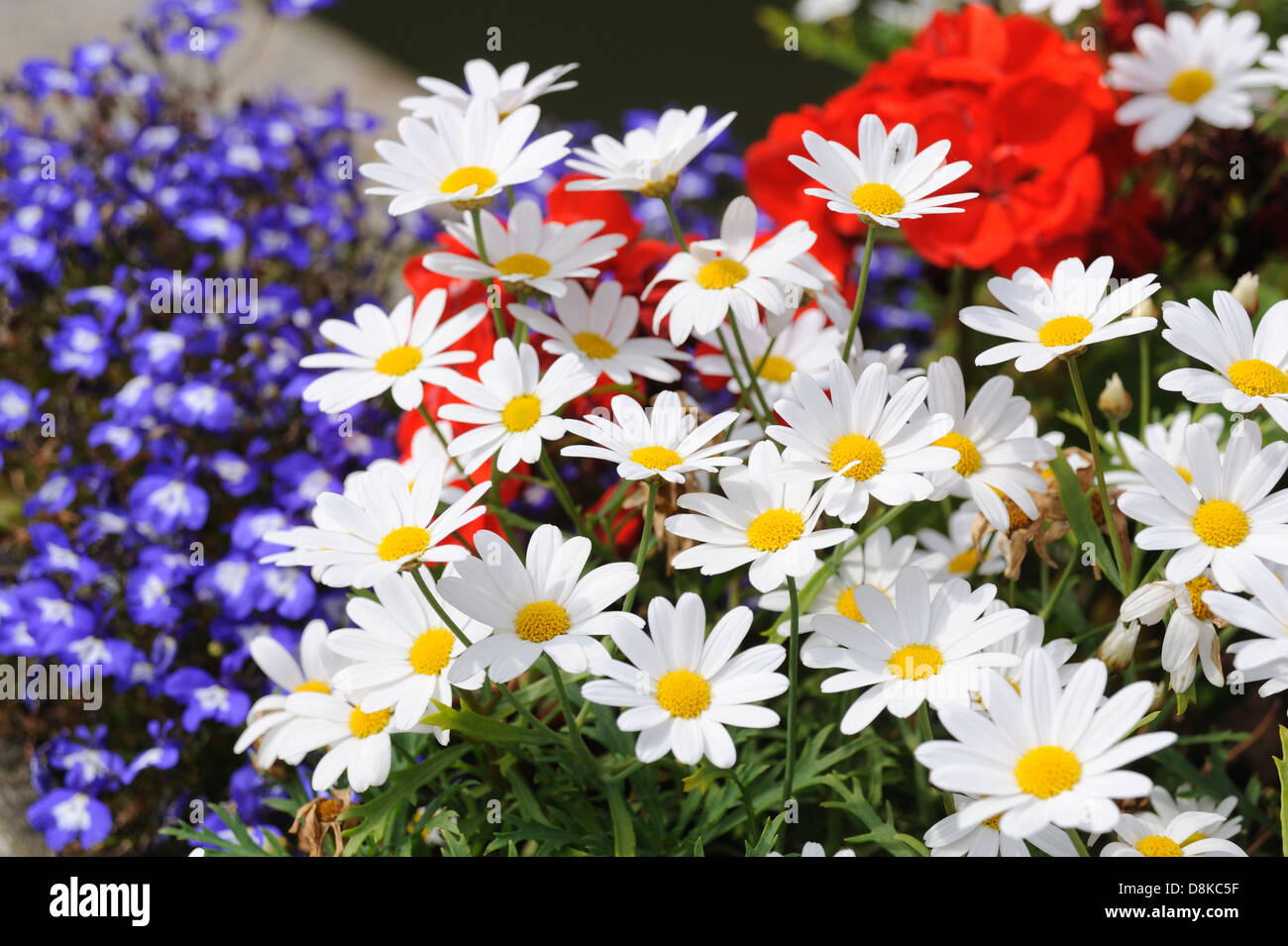 Flower pots in the street, Gothenburg, Sweden Stock Photo - Alamy