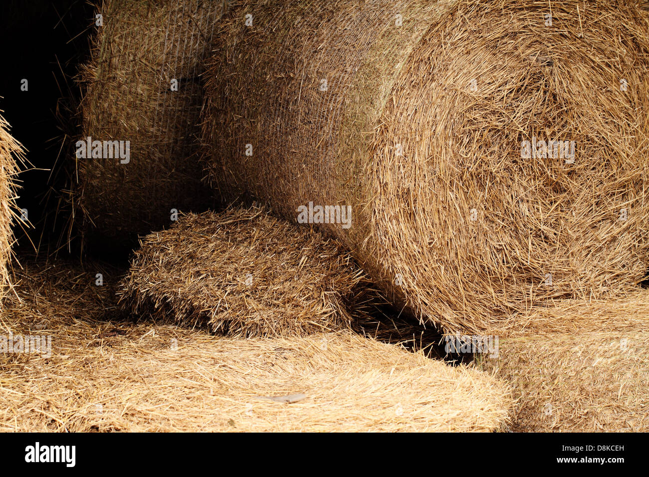 Golden bail hi-res stock photography and images - Alamy