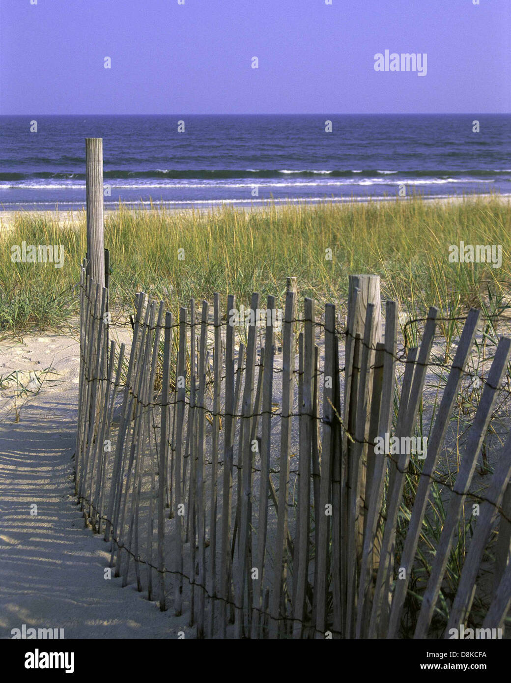 This image shows a wooden fence placed along a beach to stabilize sand ...
