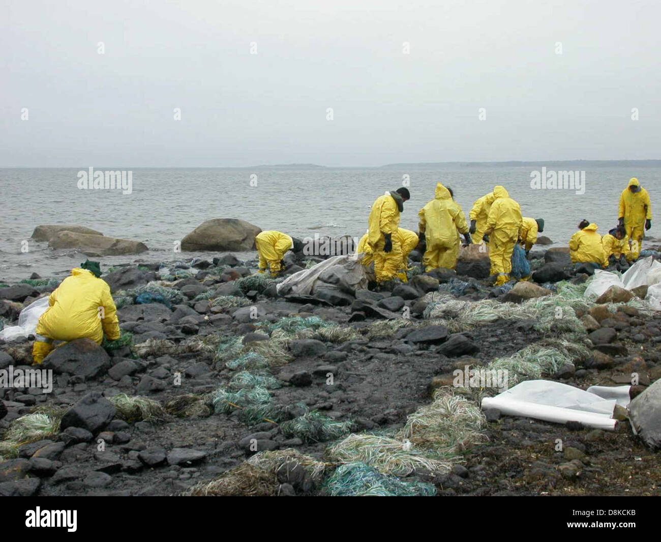 Workers clean up after oil spill on coast Stock Photo - Alamy