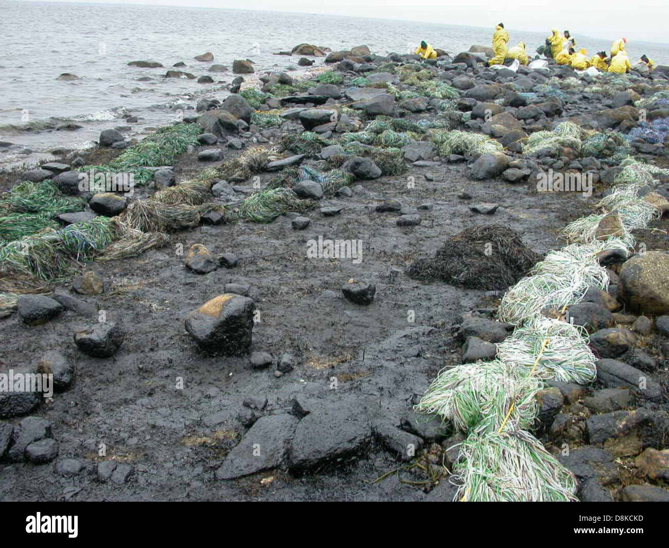 Workers in protective gear clean up the aftermath of an oil spill. Oil ...