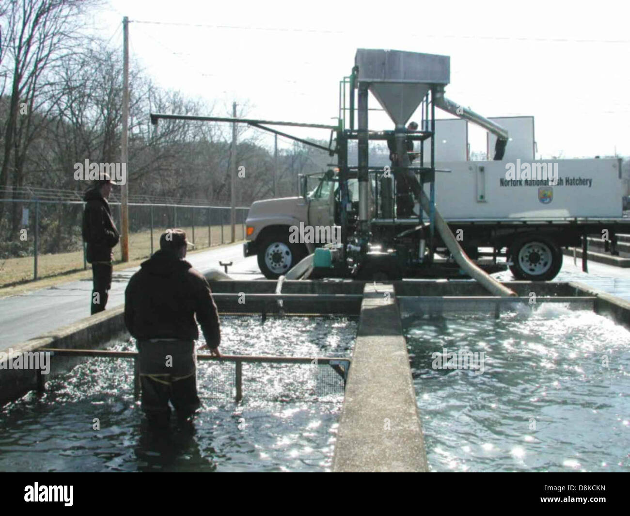 Workers loading fresh fish hi-res stock photography and images - Alamy