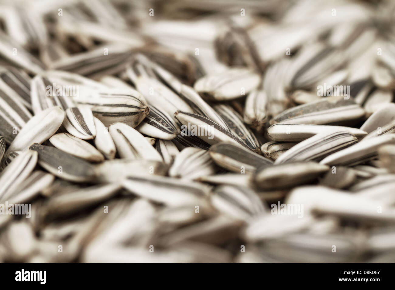 Sunflower seeds background Stock Photo - Alamy