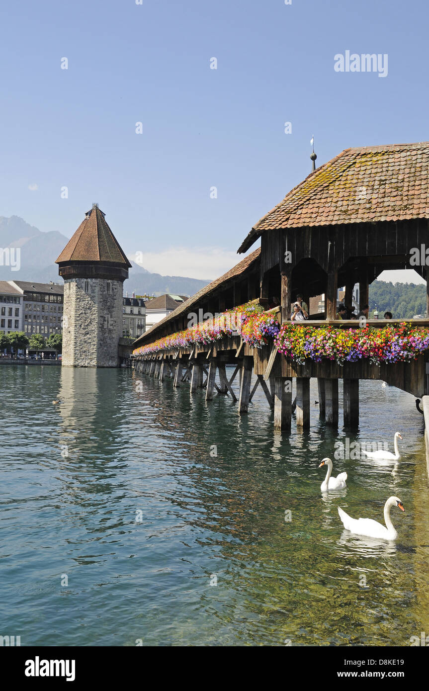 Kapellbruecke hi-res stock photography and images - Alamy