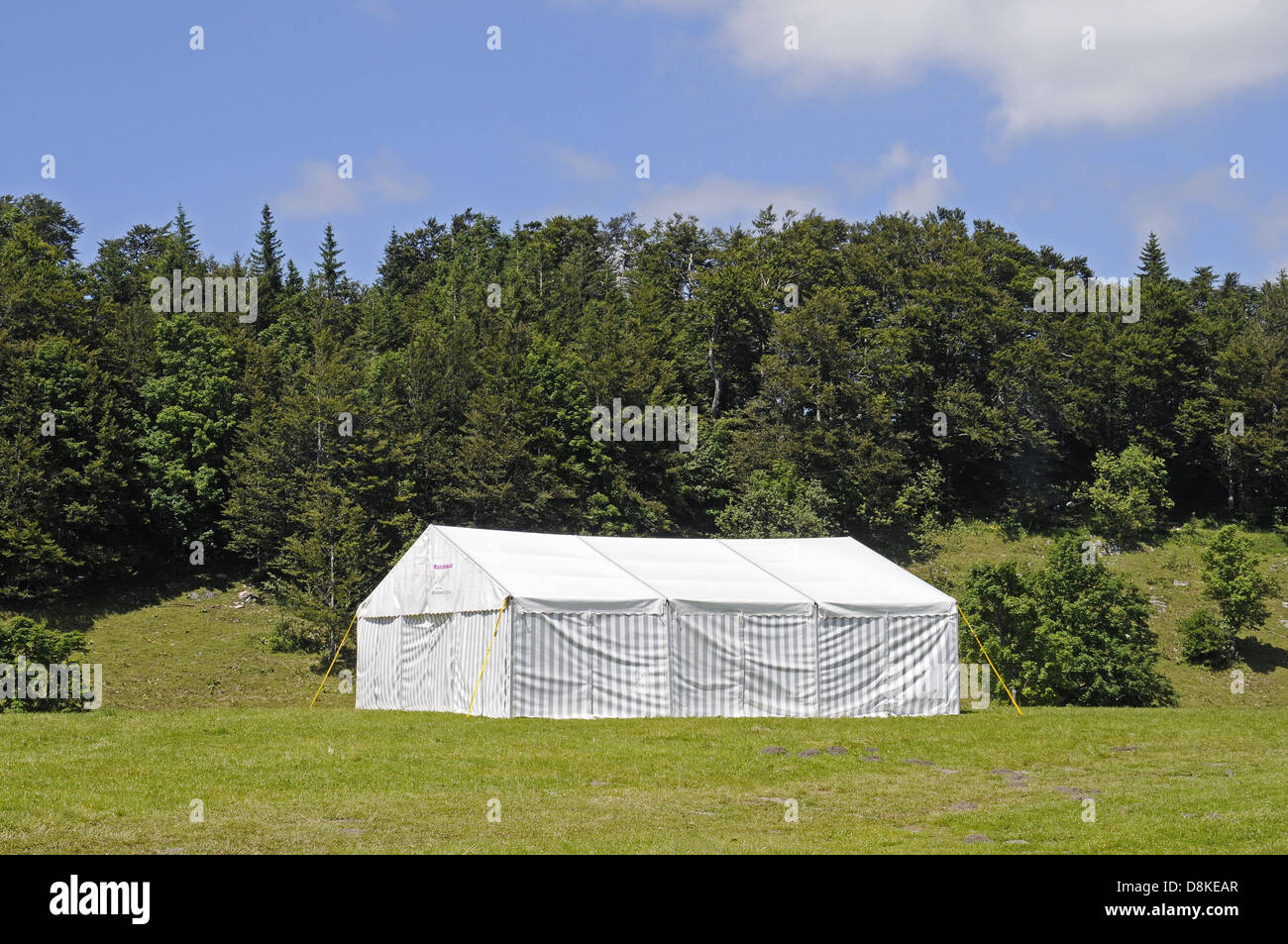 white tent in the woods Stock Photo - Alamy