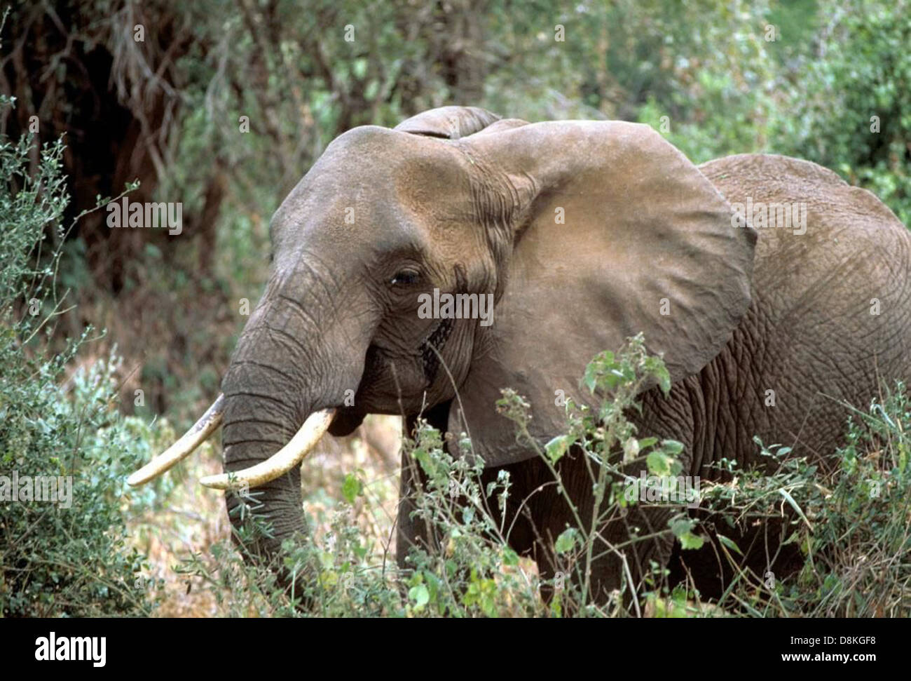 High resolution image large hi-res stock photography and images - Alamy