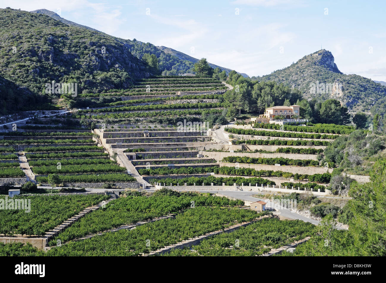 Valley of oranges hi-res stock photography and images - Alamy