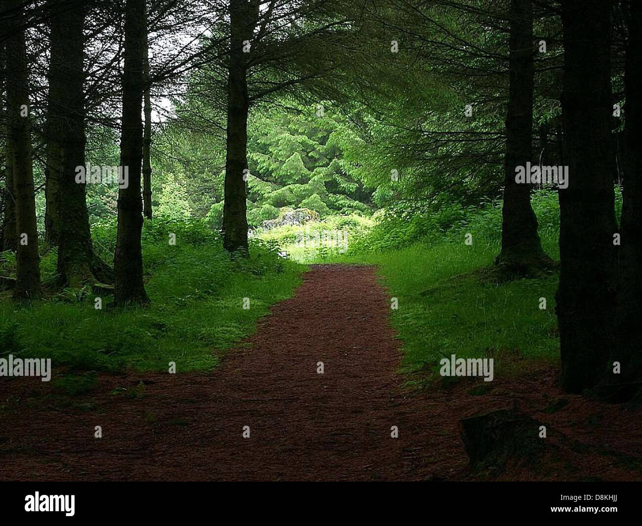 The Deerpark Court Tombs, an ancient archaeological site in Ireland ...