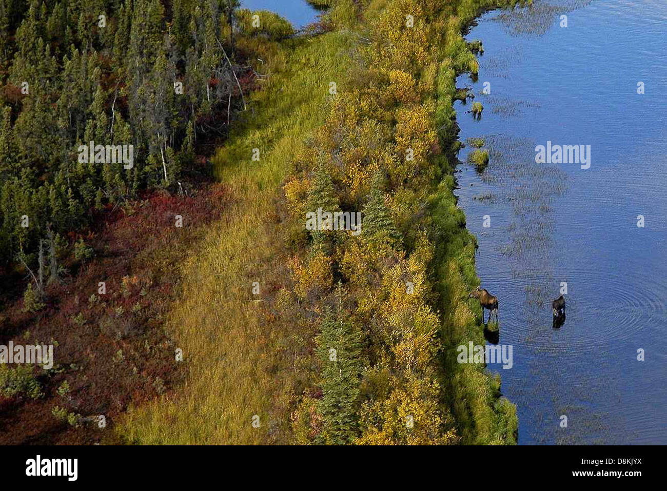 Kanuti hi-res stock photography and images - Alamy