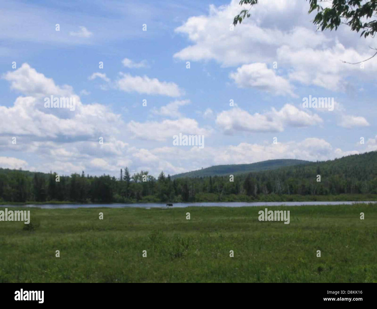 Umbagog national wildlife refuge hi-res stock photography and images ...