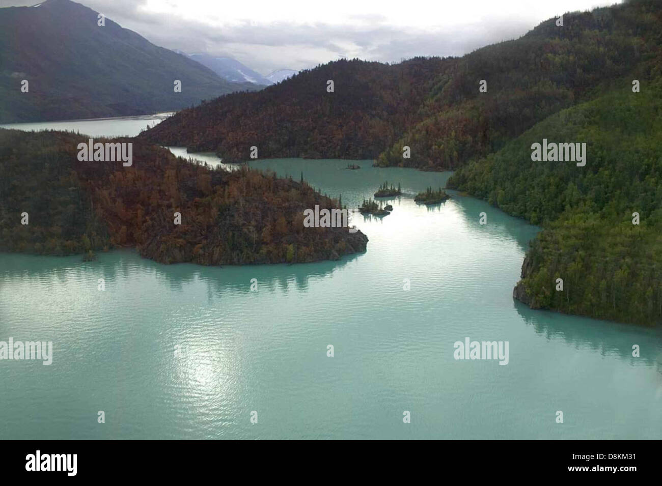 Aerial view of lakes within a national reserve, showcasing their vast ...