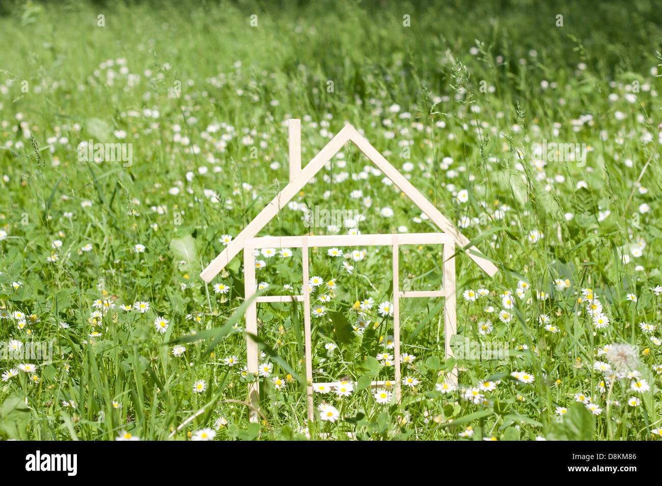 Wooden home in spring green grass ecological building concept Stock ...
