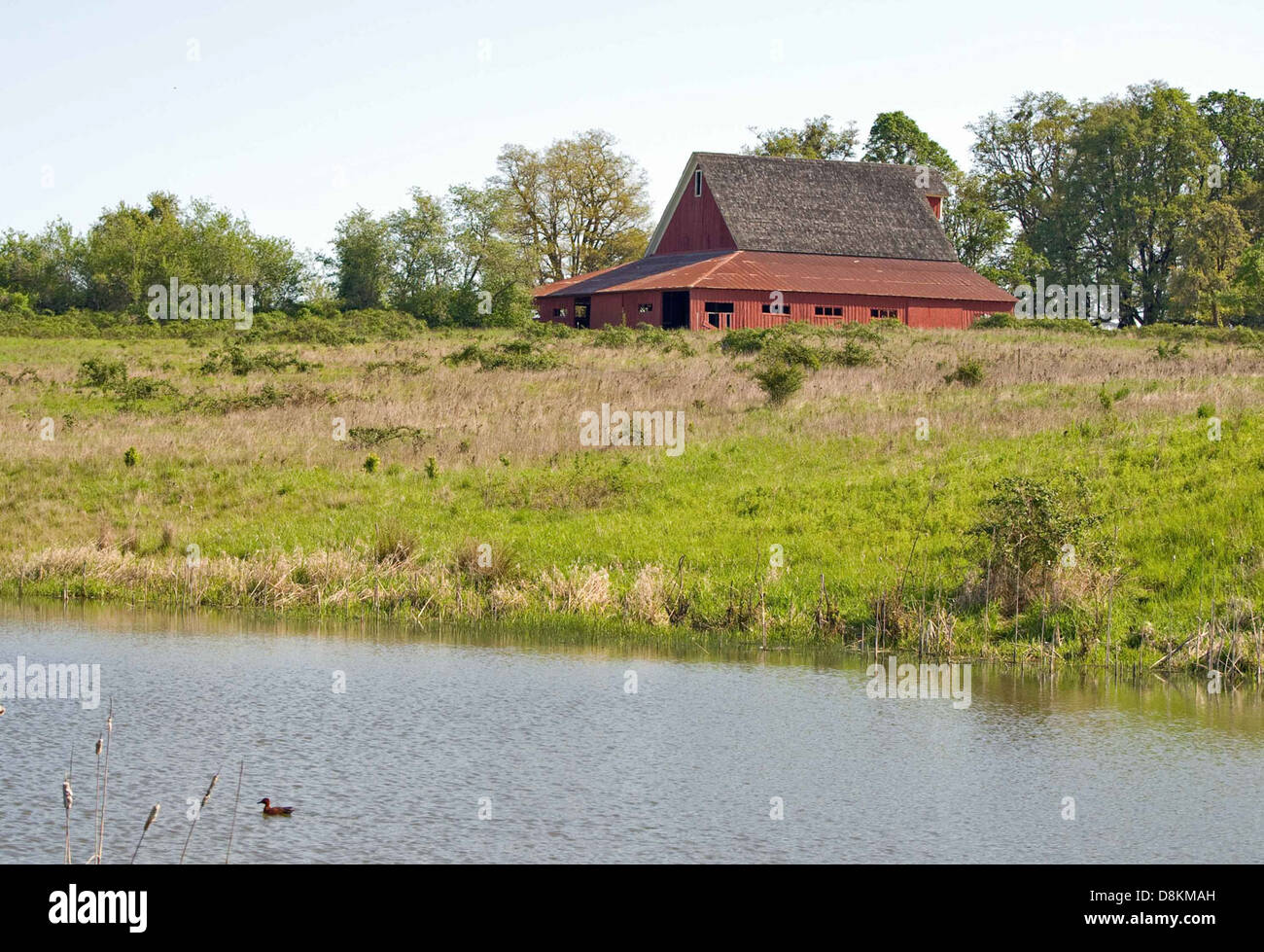 This image features a classic red barn situated near a tranquil lake ...