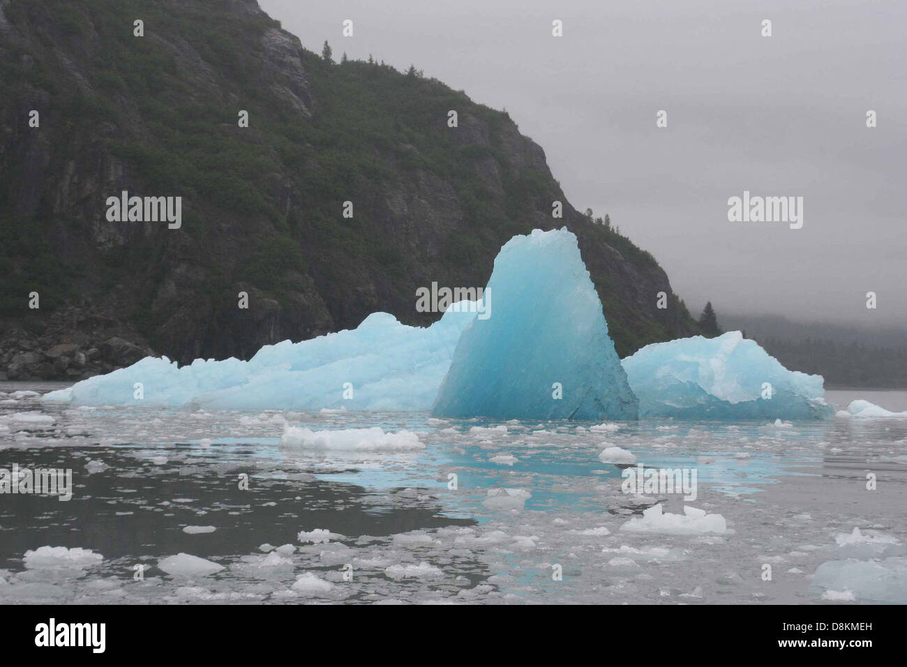 This photo shows blue ice floating on water, showcasing large ...