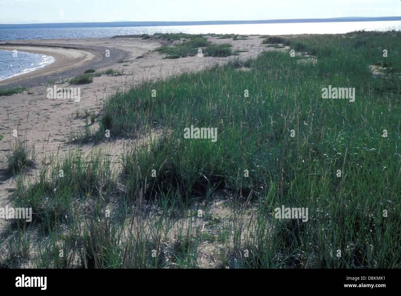 Chamisso island sand spit Stock Photo - Alamy