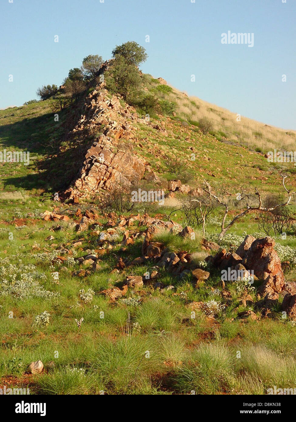 Dragon back hi-res stock photography and images - Alamy