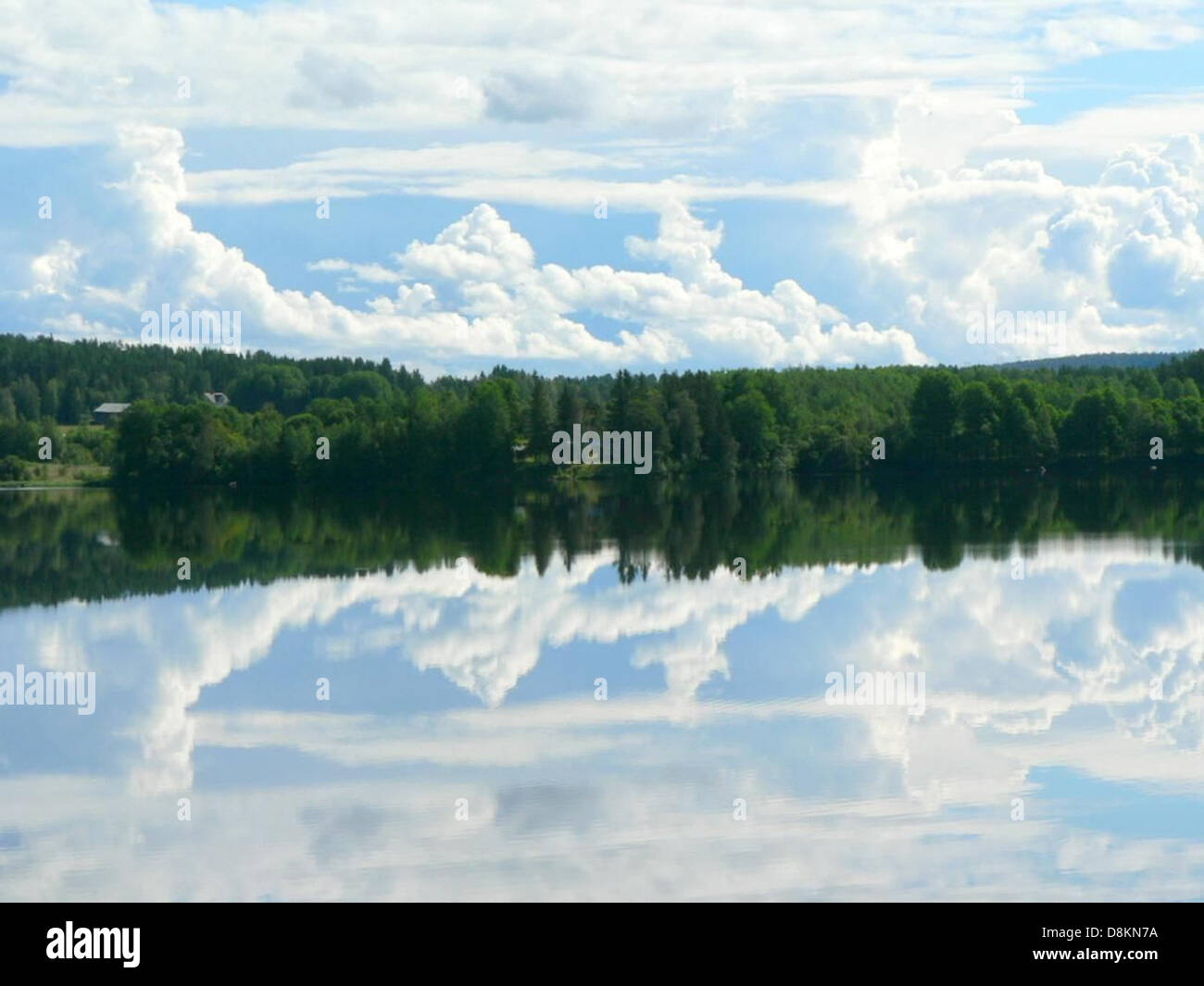 A tranquil forest landscape with a lake that mirrors the sky and trees ...