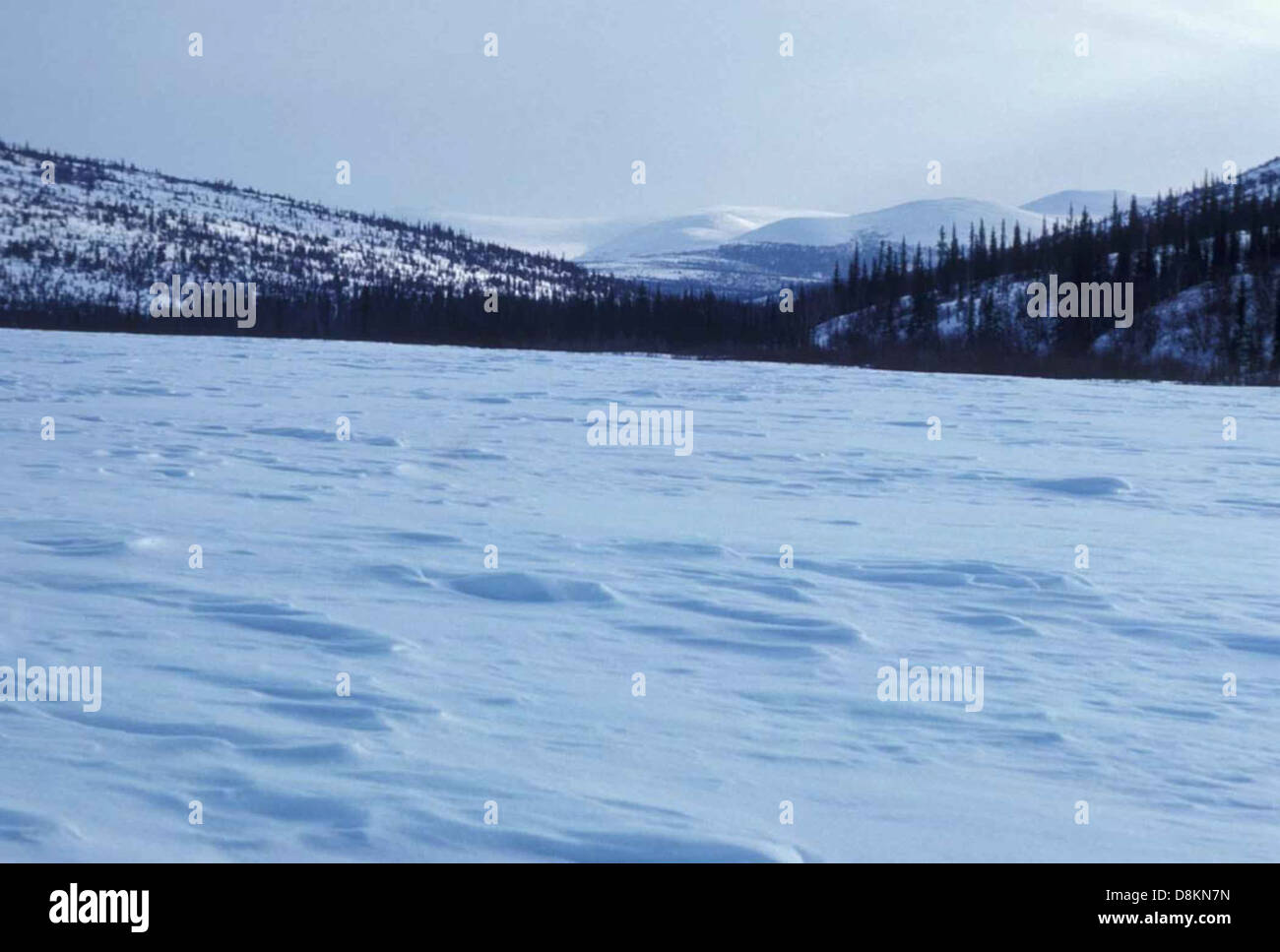 A serene winter scene of a frozen lake, where the ice stretches out ...