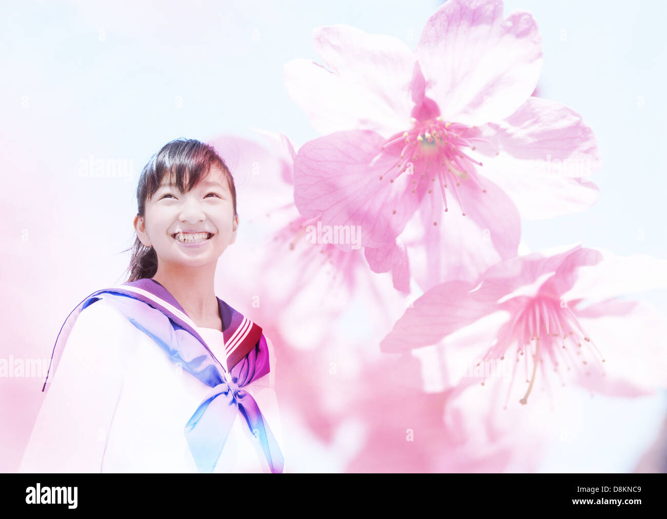 Junior high school girl and cherry blossoms Stock Photo - Alamy