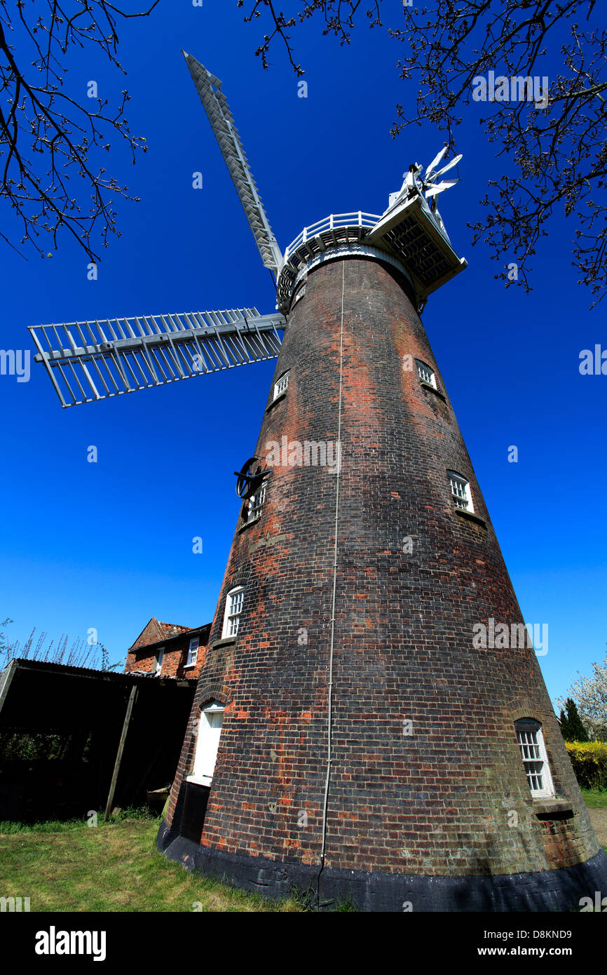 Summer, Buttrum's Mill, restored windmill, Woodbridge town, Suffolk ...