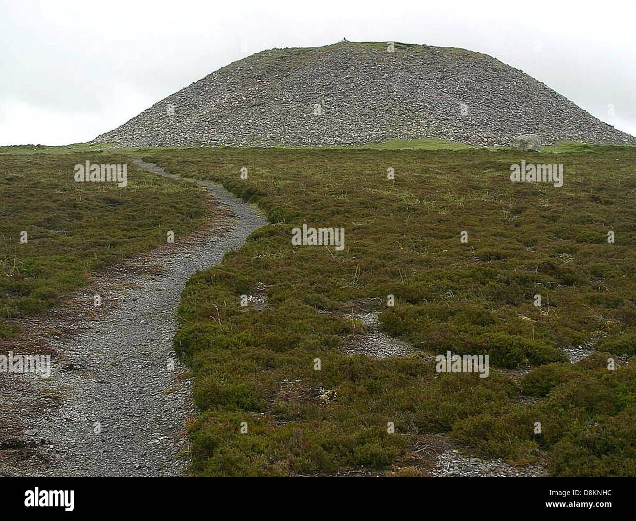 A lush green hill standing proudly in the middle of an open field. The ...