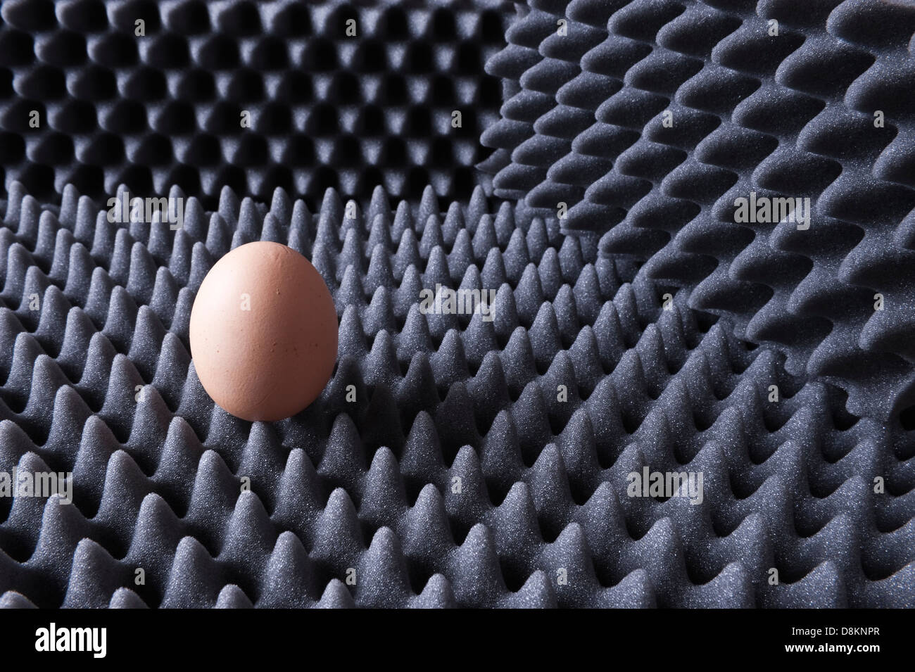 Protection-Concept - Egg on foam - Adobe RGB Stock Photo - Alamy