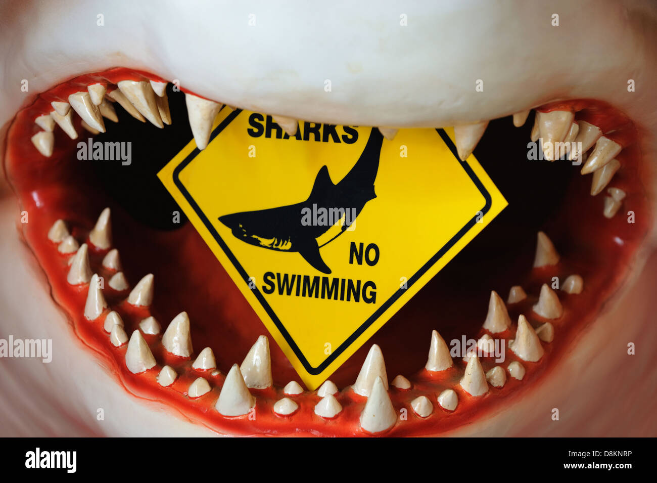 Jaws crushing no swimming warning sign - Adobe RGB Stock Photo - Alamy