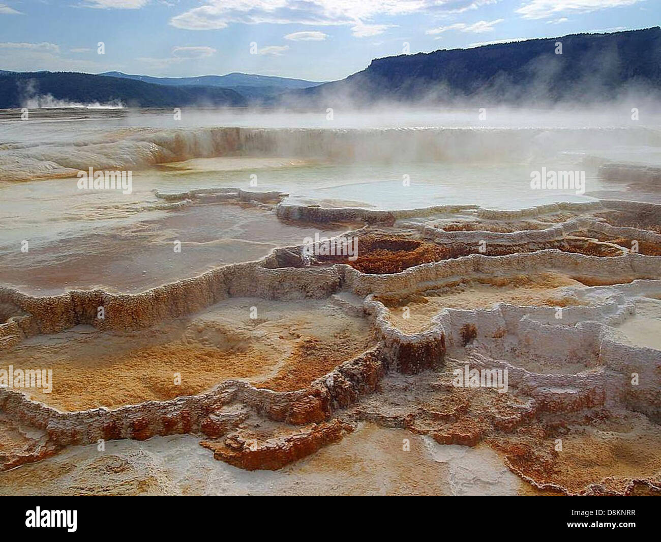 A steaming hot spring in Yellowstone National Park, surrounded by ...