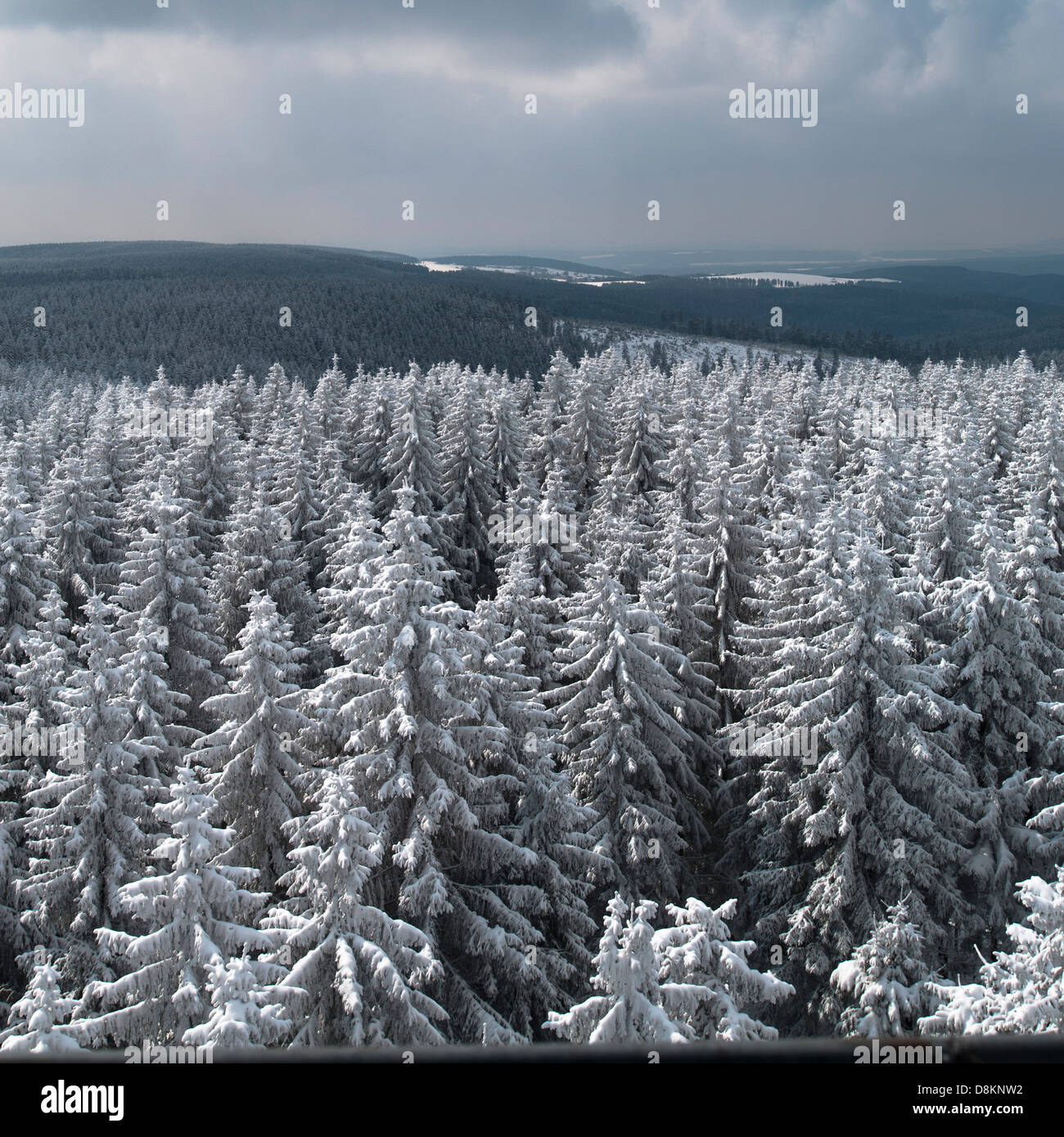 View from observation tower Rennsteigwarte on the Eselsberg mountain ...