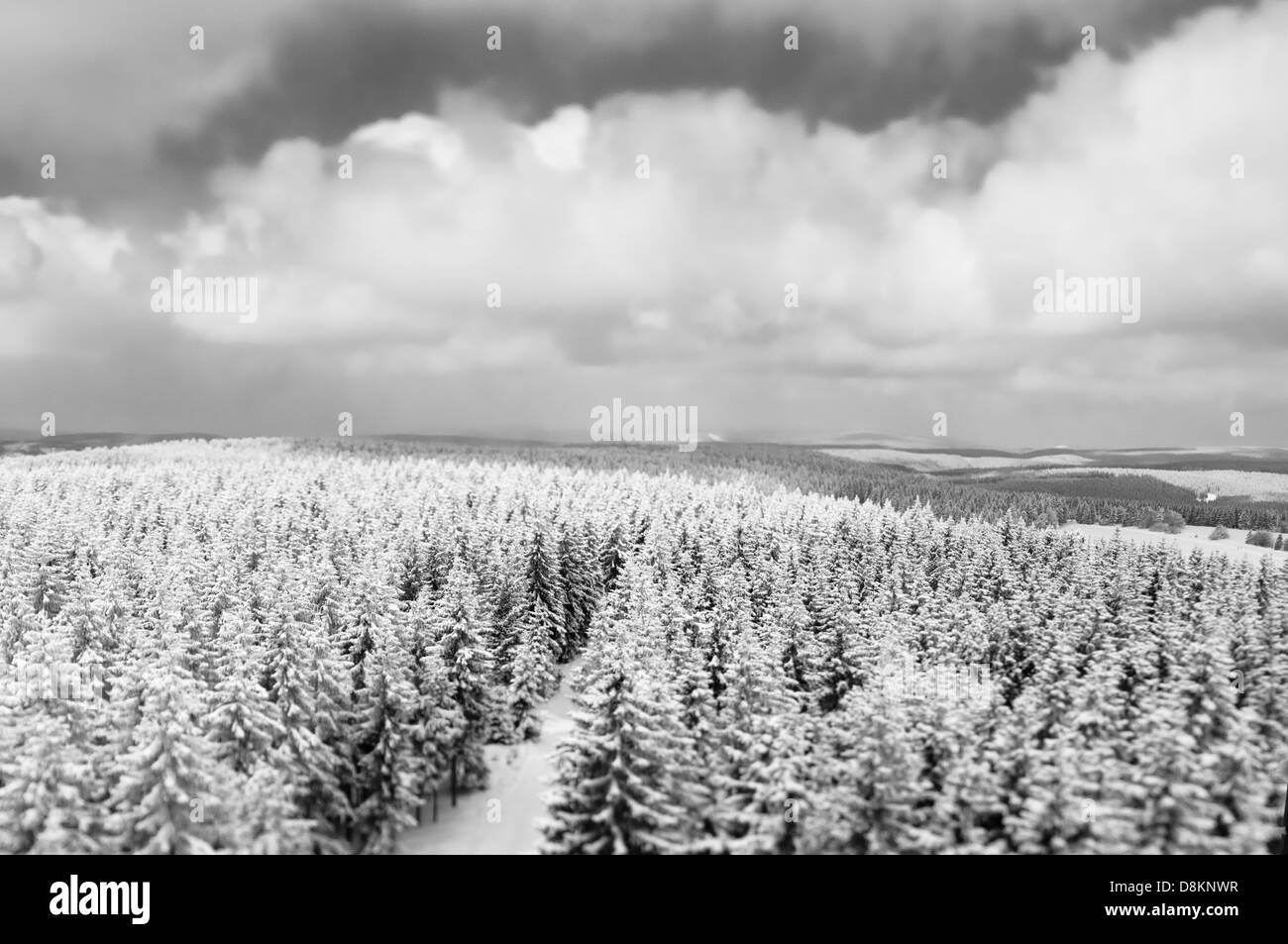 View from observation tower Rennsteigwarte on the Eselsberg mountain ...