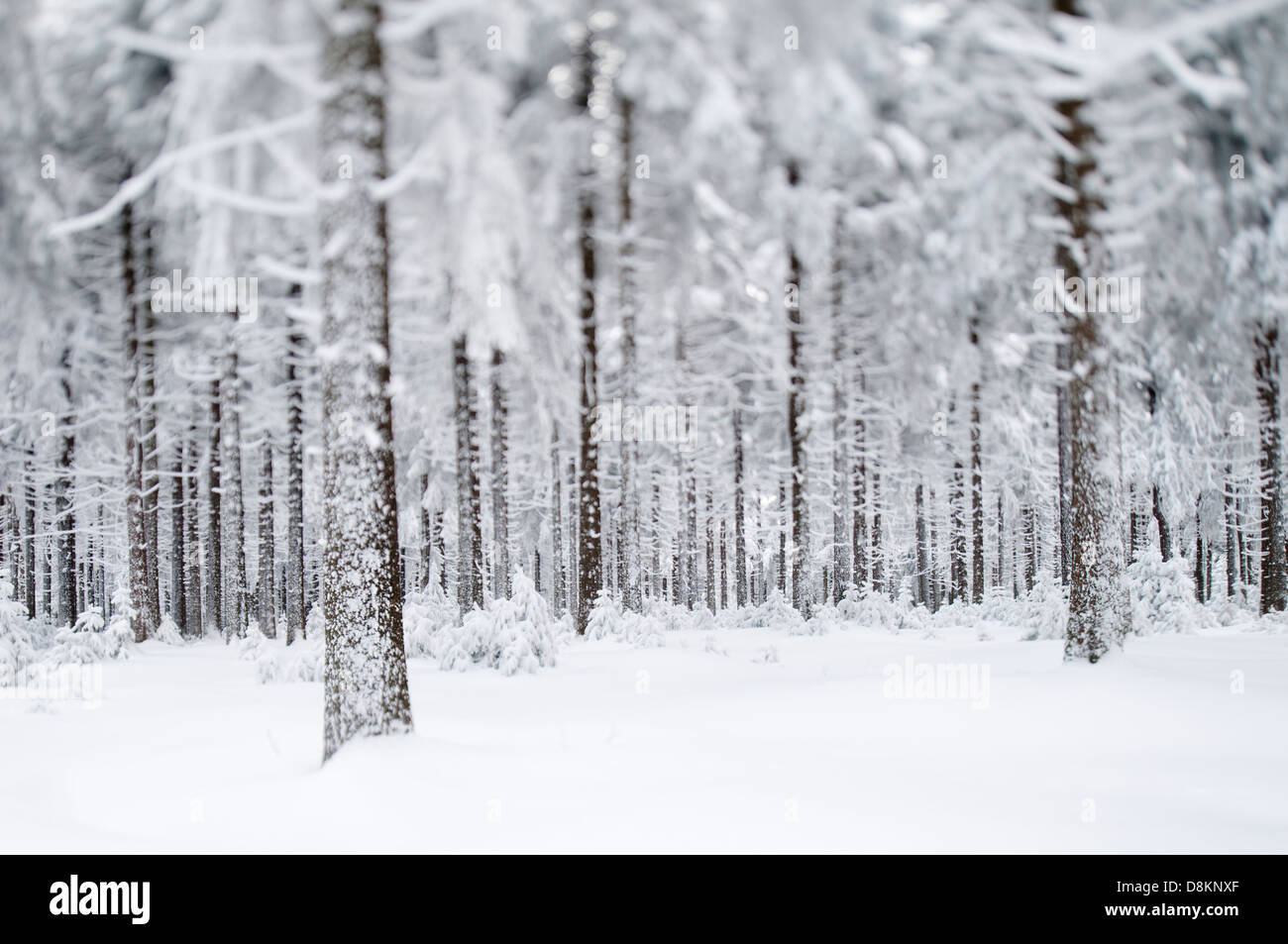 Masserberg hi-res stock photography and images - Alamy