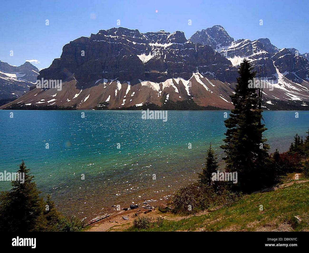 A scenic view of Jasper National Park in Canada, featuring pristine ...