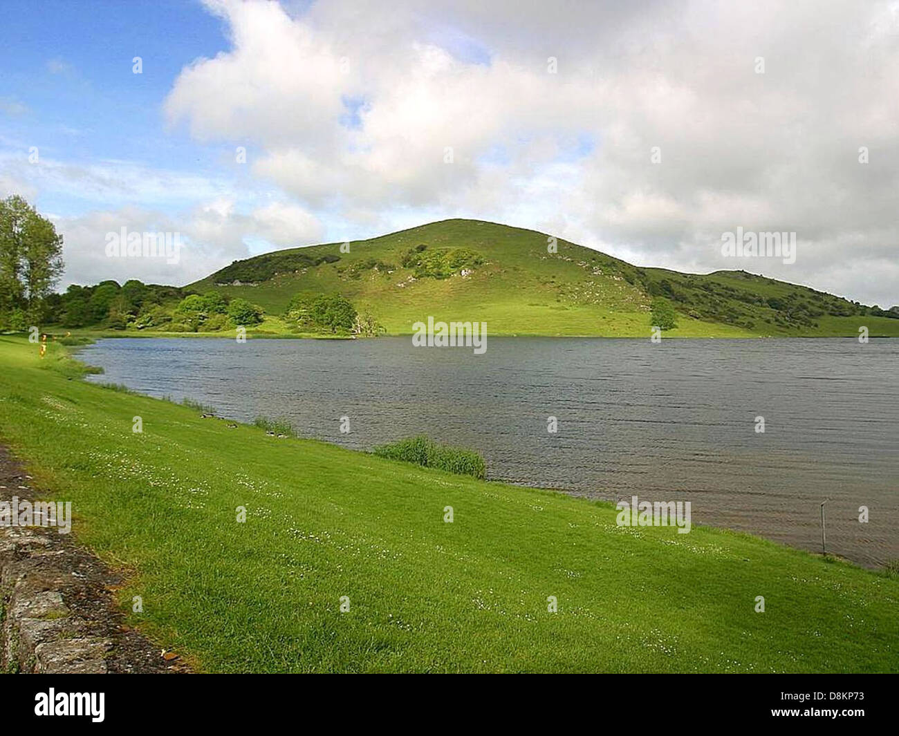 Lakes in green fields Stock Photo - Alamy