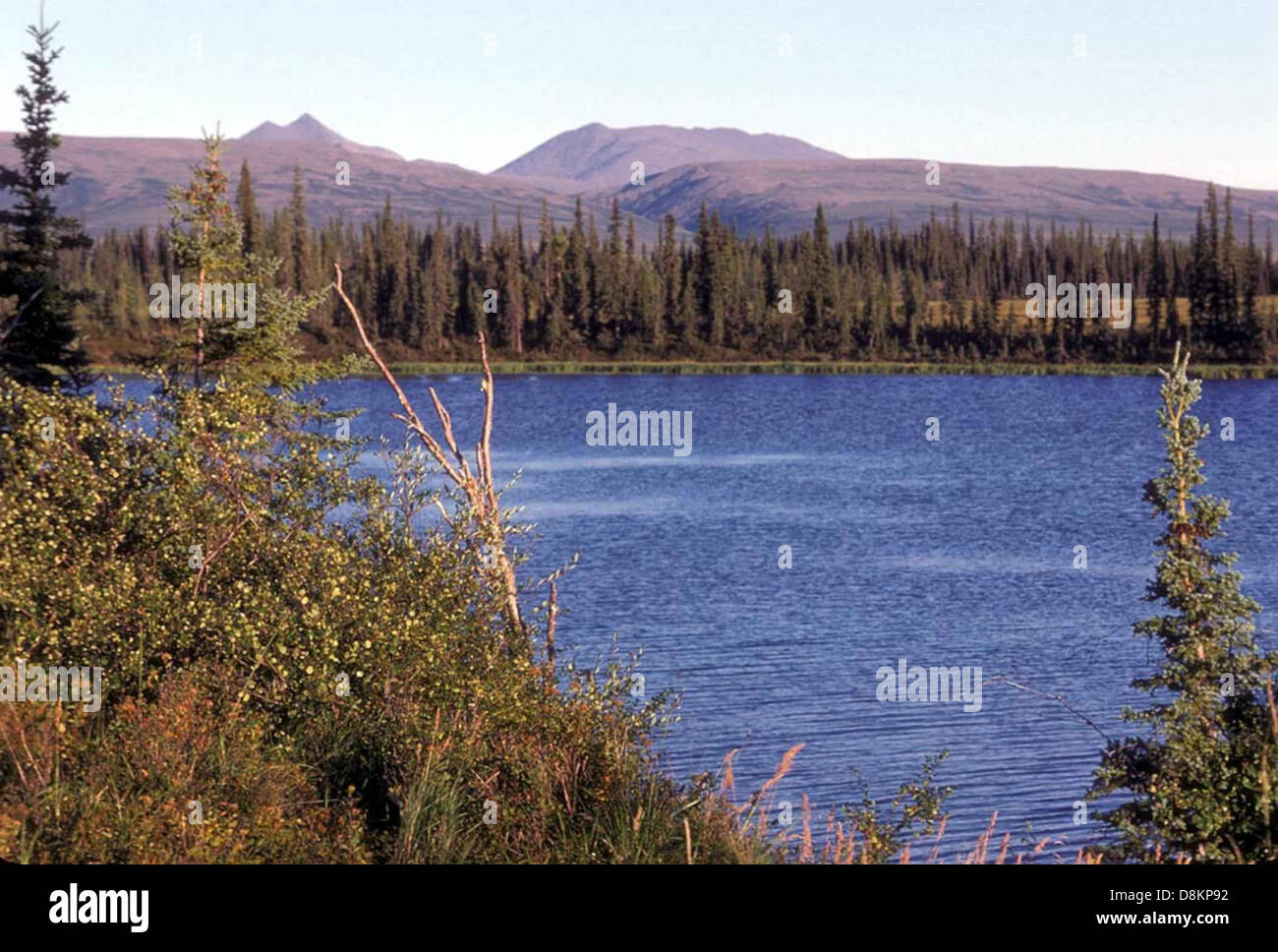 A serene lake located at the junction of the Selawik and Ingruksuk ...